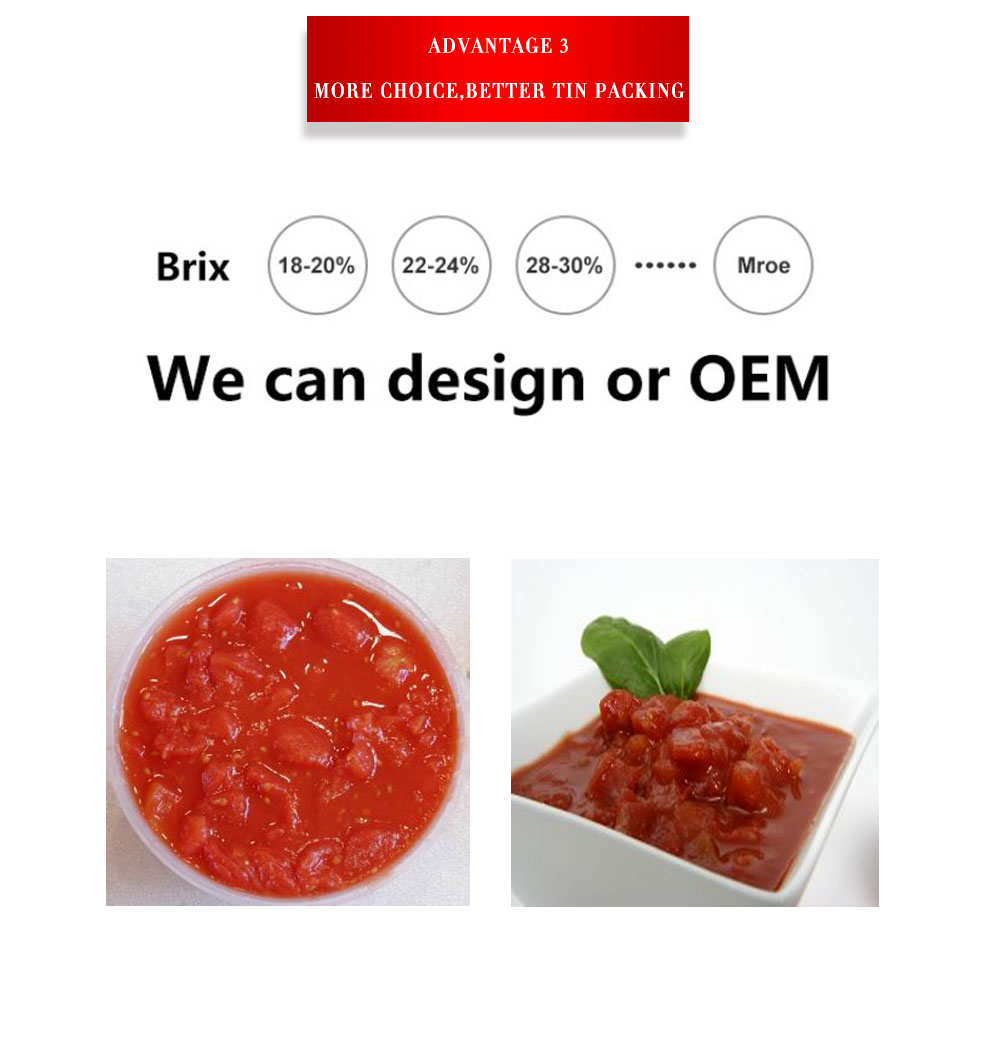 Chopped Tomato-tomato in tin 400g,800g, 2500g,2850g - Tomato Paste ...