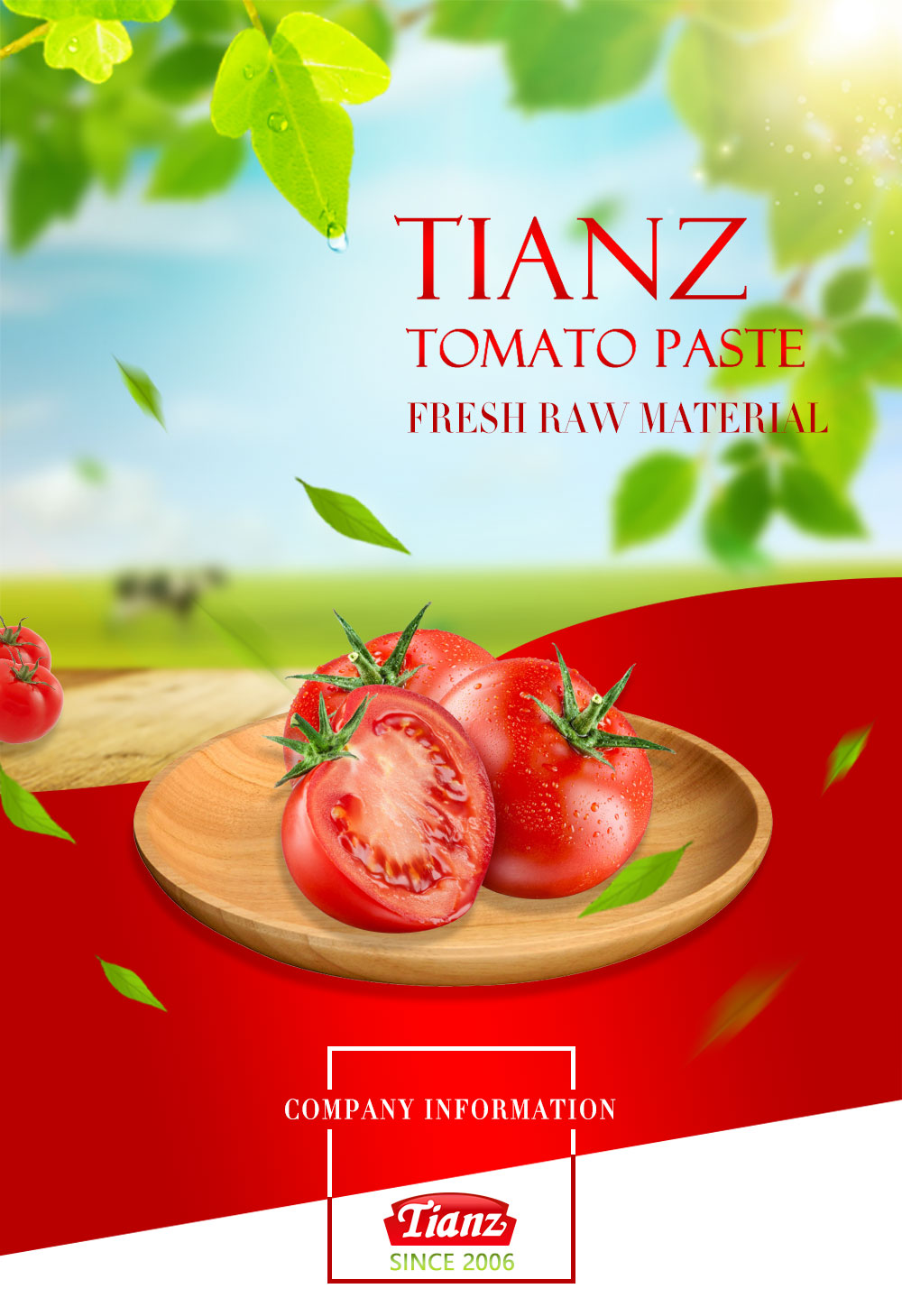 Cup/Tub Tomato Paste 115g - Tomato Paste,Tomato Paste Suppliers,China ...