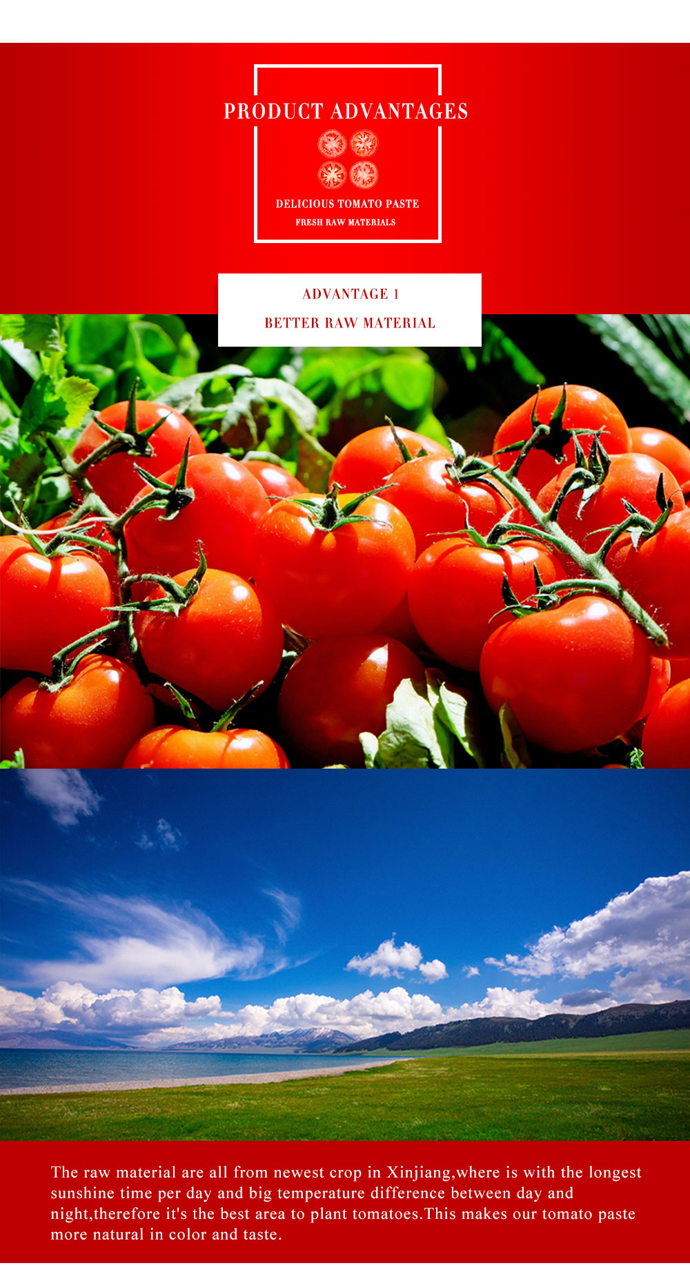 Cup/Tub Tomato Paste 115g - Tomato Paste,Tomato Paste Suppliers,China ...