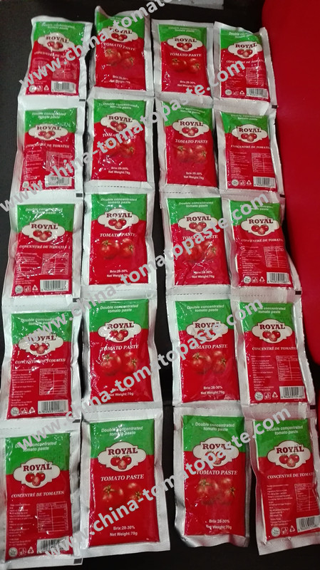 Sachet Tomato Paste - 70gx100- Flat - tomatopaste2-12 - Tianz Tomato ...